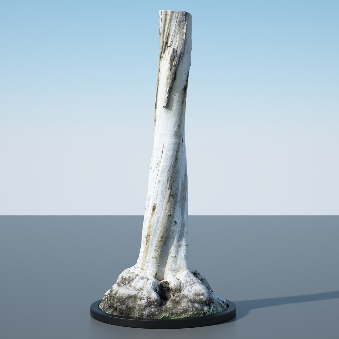 Tree Trunk - 3D Model - TurboSquid 1459640