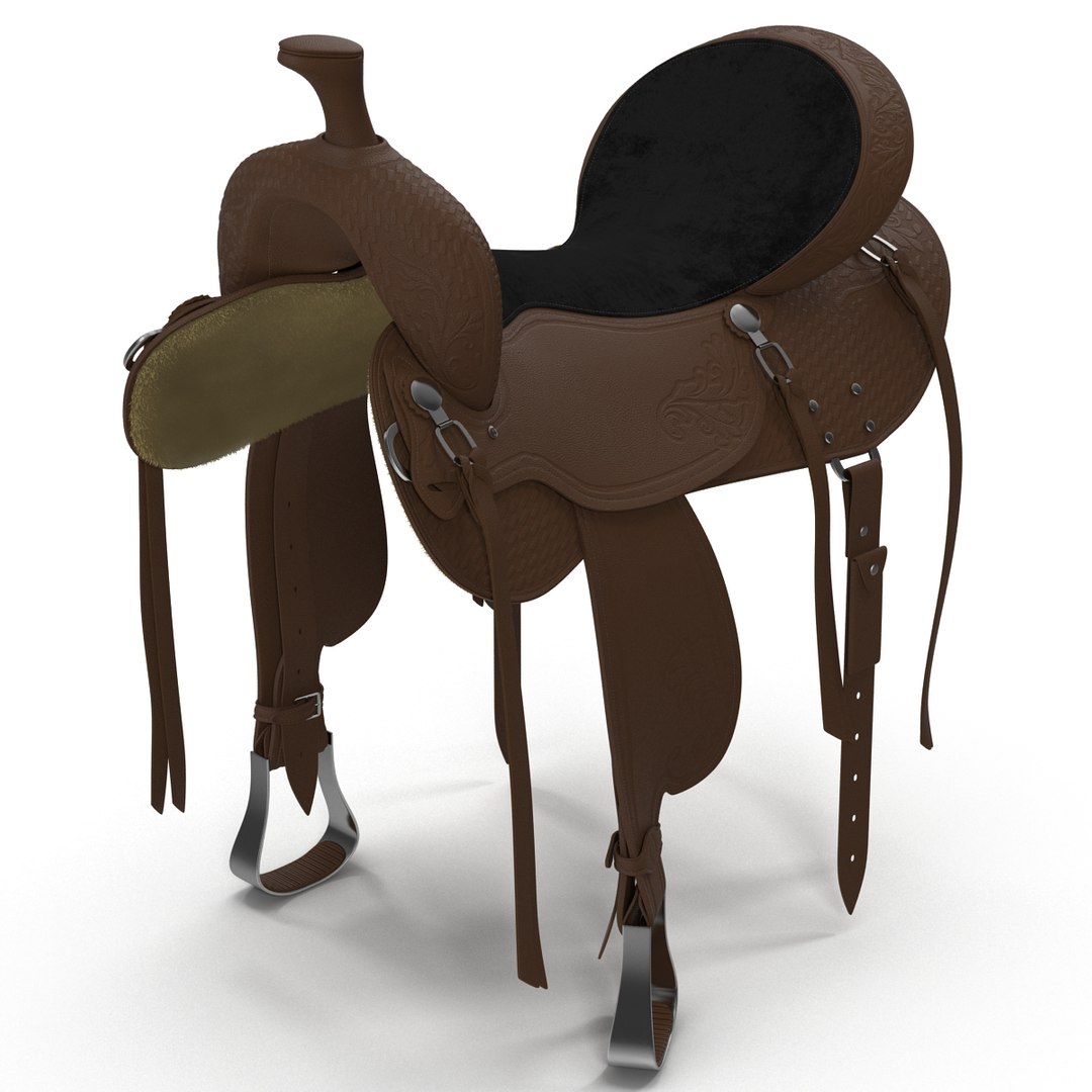 3d Saddle 4 Model