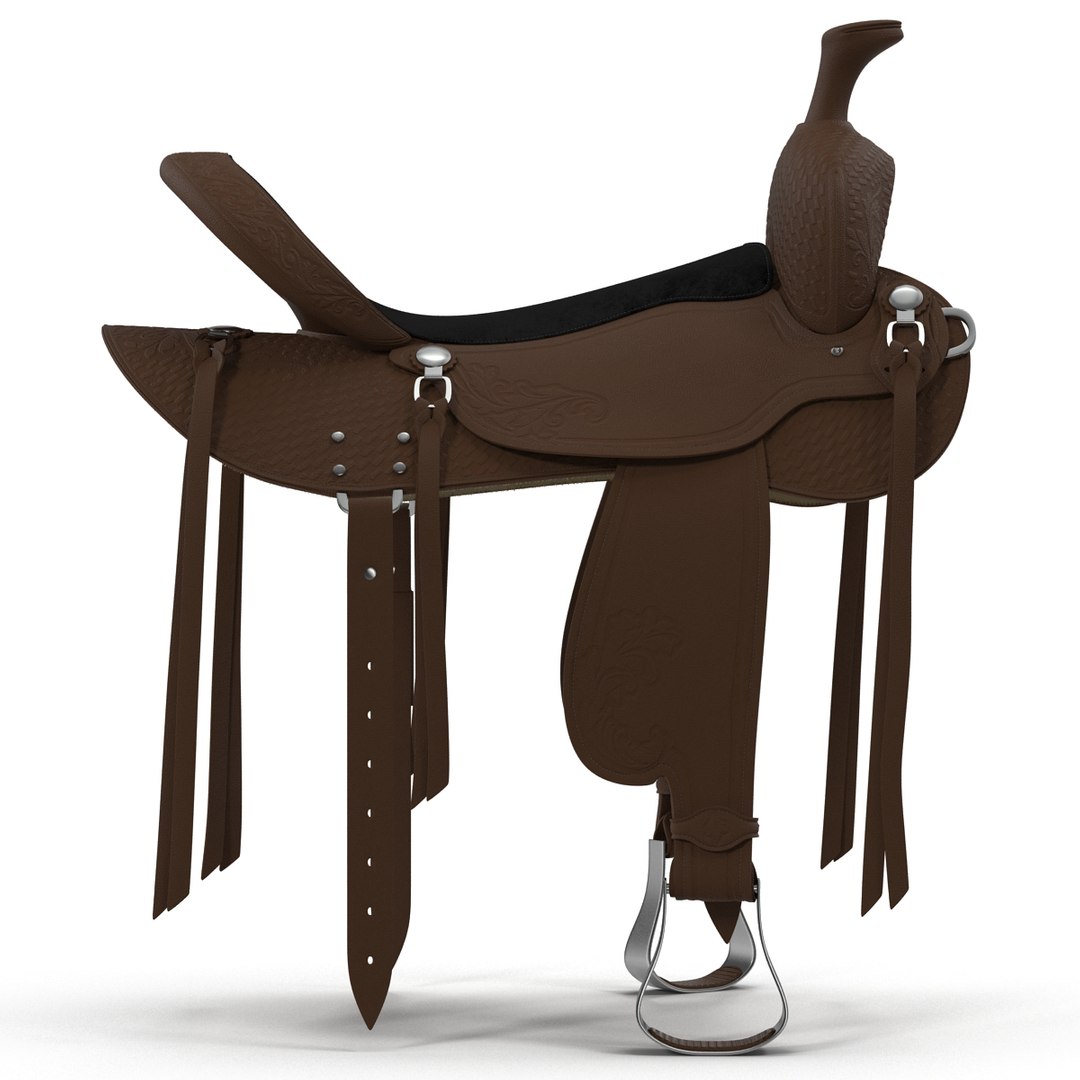 3d Saddle 4 Model