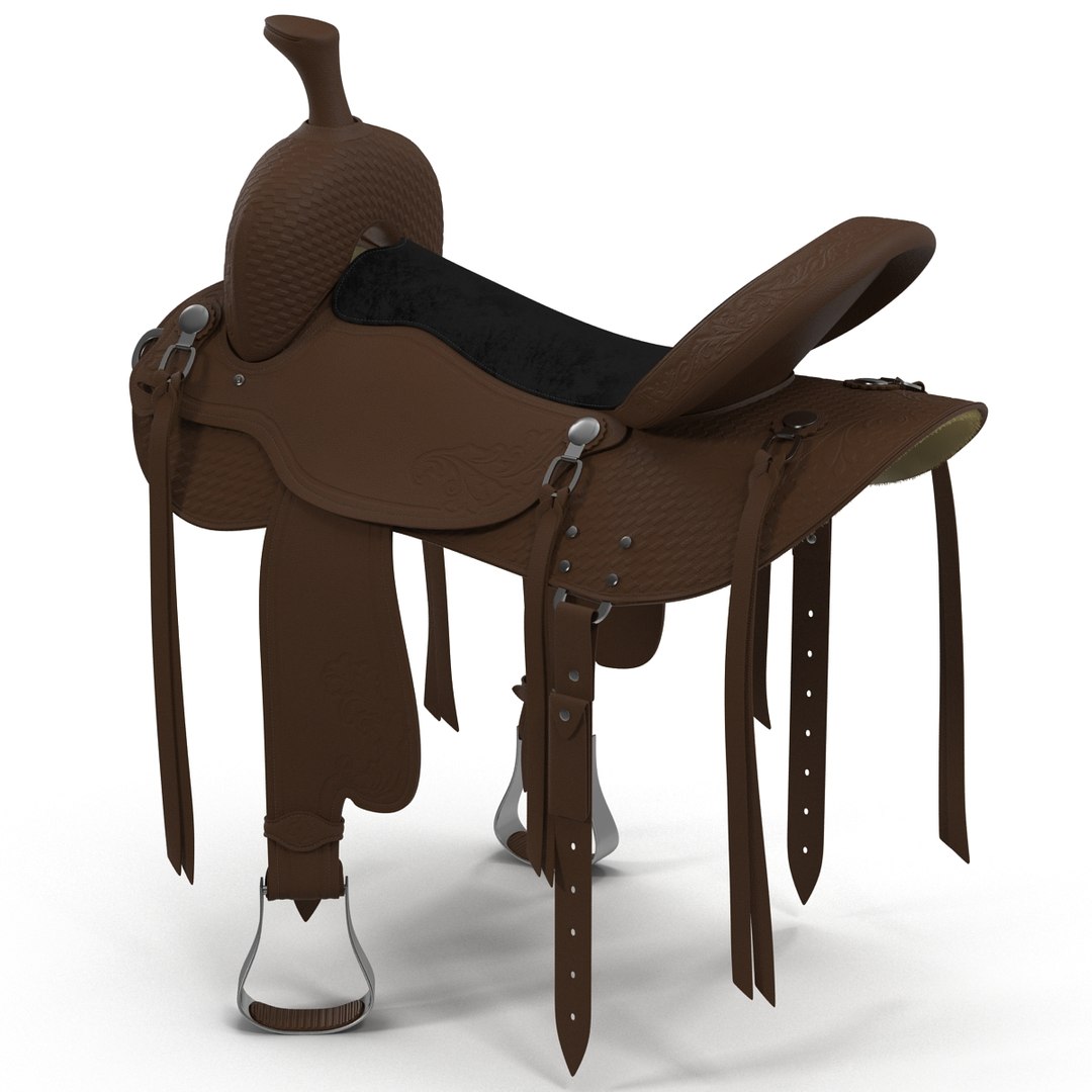 3d Saddle 4 Model