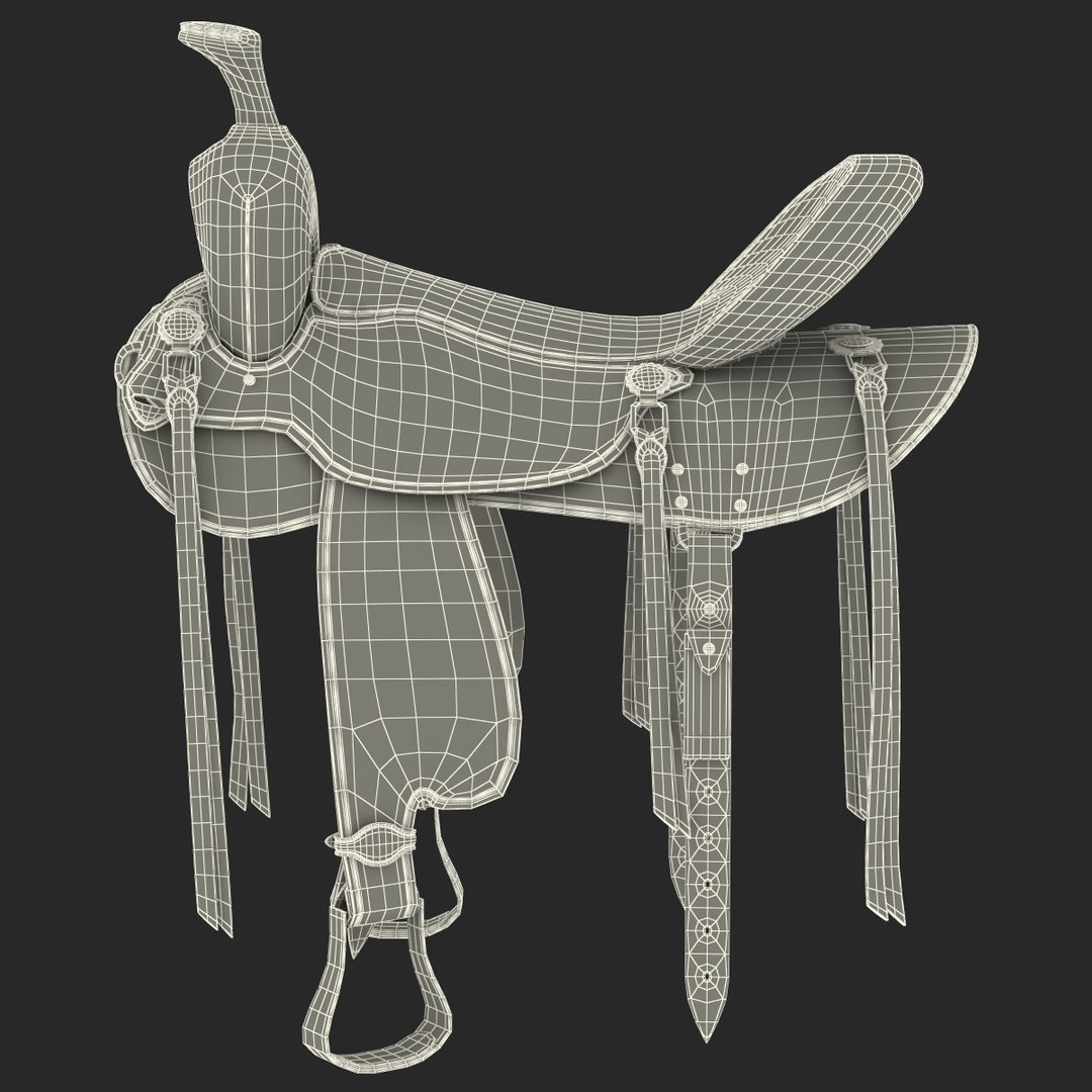 3d saddle 4 model