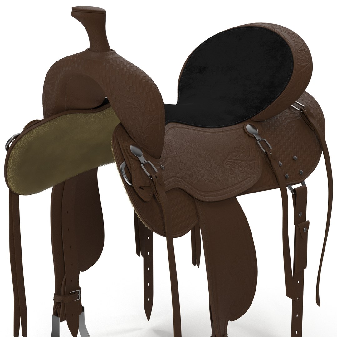 3d Saddle 4 Model