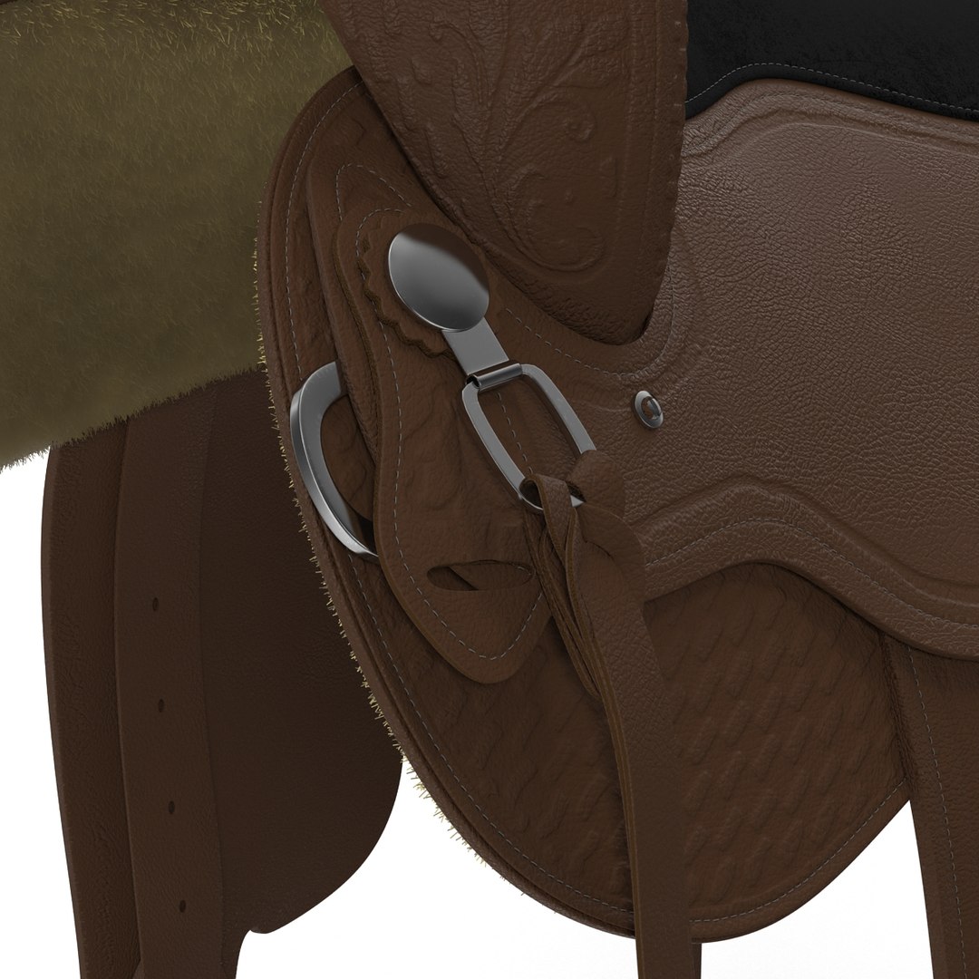 3d Saddle 4 Model