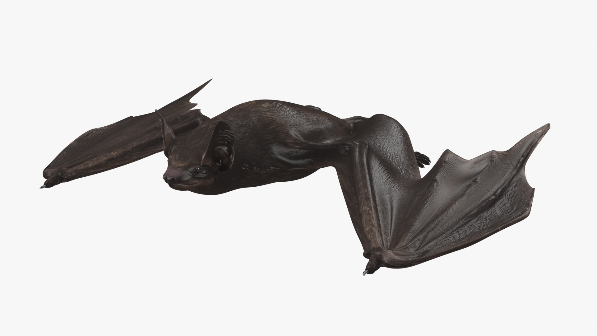 Black Bat Pose 3D Model - TurboSquid 1856475