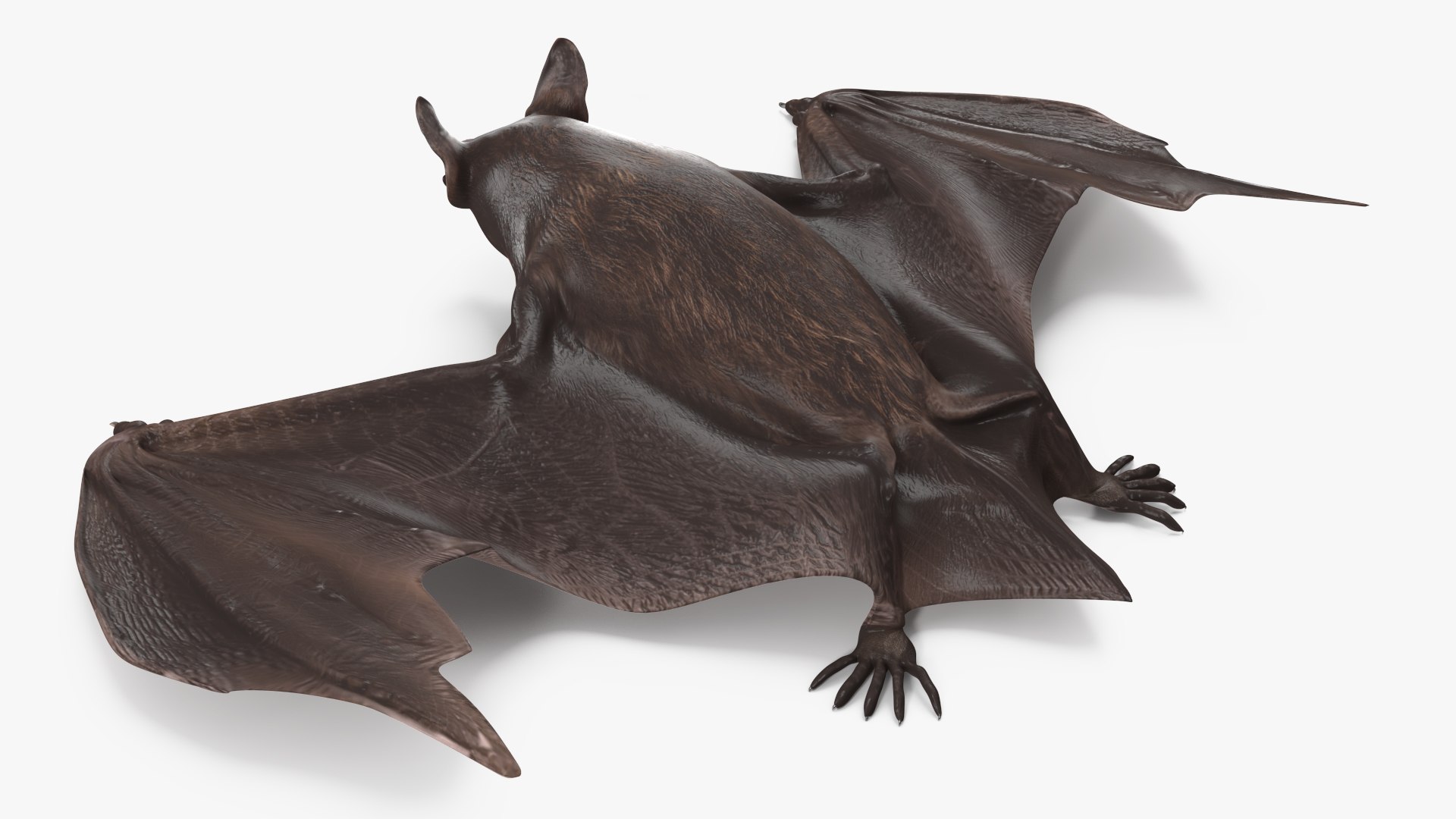 Black Bat Pose 3D Model - TurboSquid 1856475
