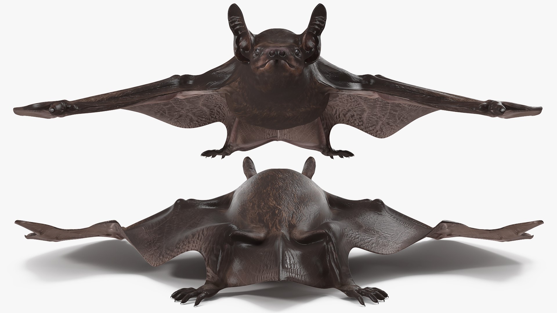 Black Bat Pose 3D Model - TurboSquid 1856475
