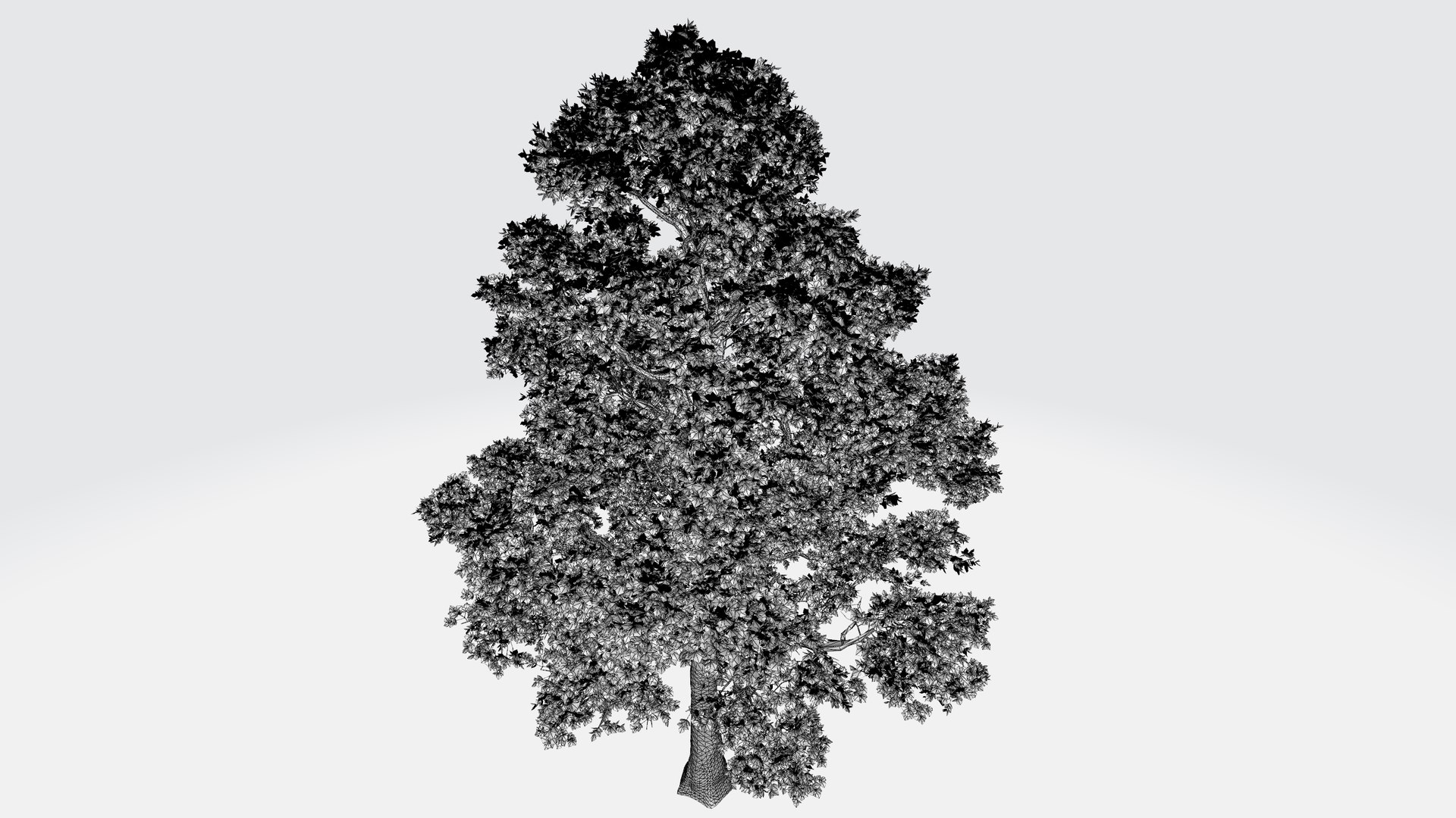 Medium green tree 3D model - TurboSquid 1956183