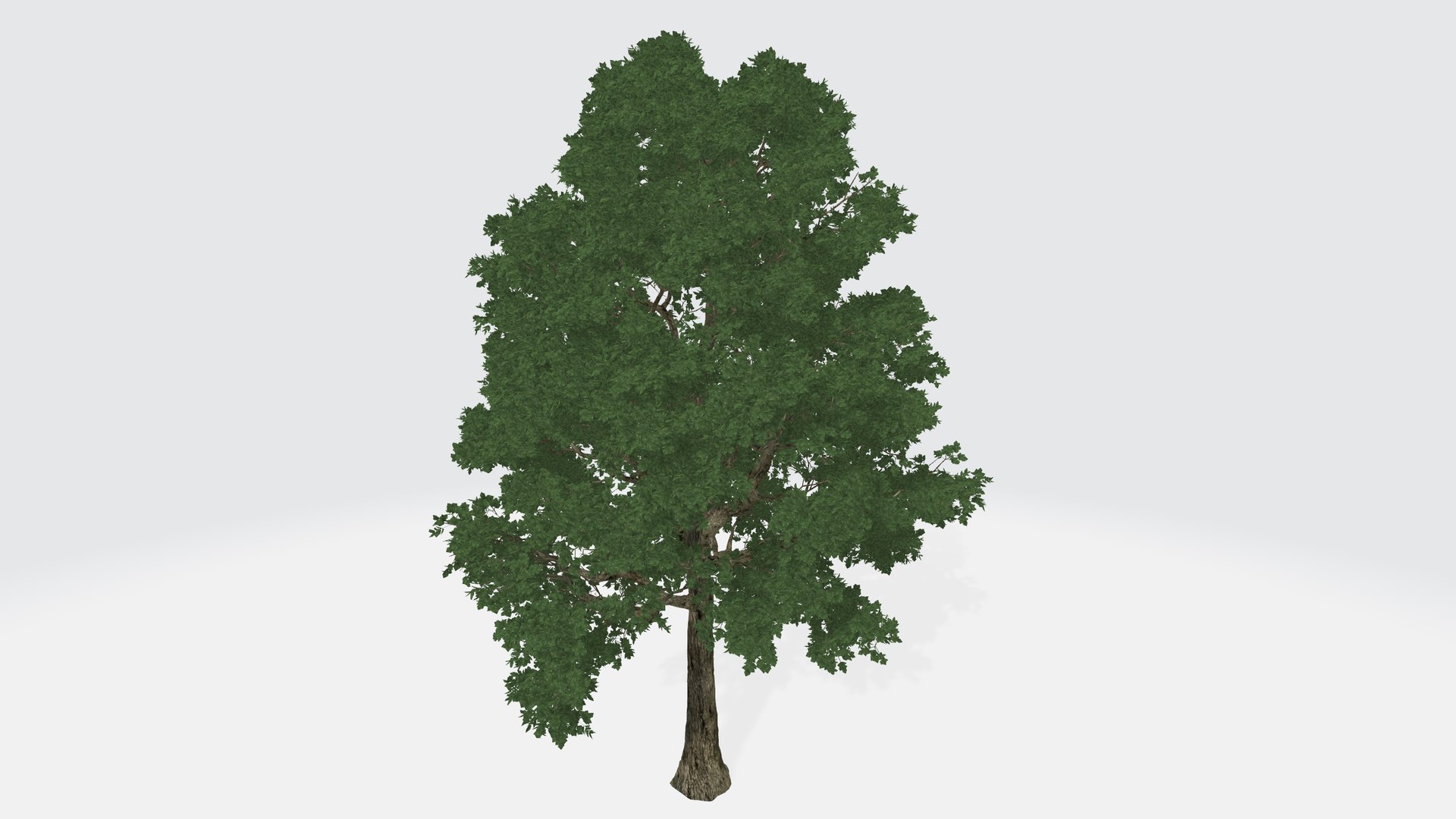 Medium green tree 3D model - TurboSquid 1956183