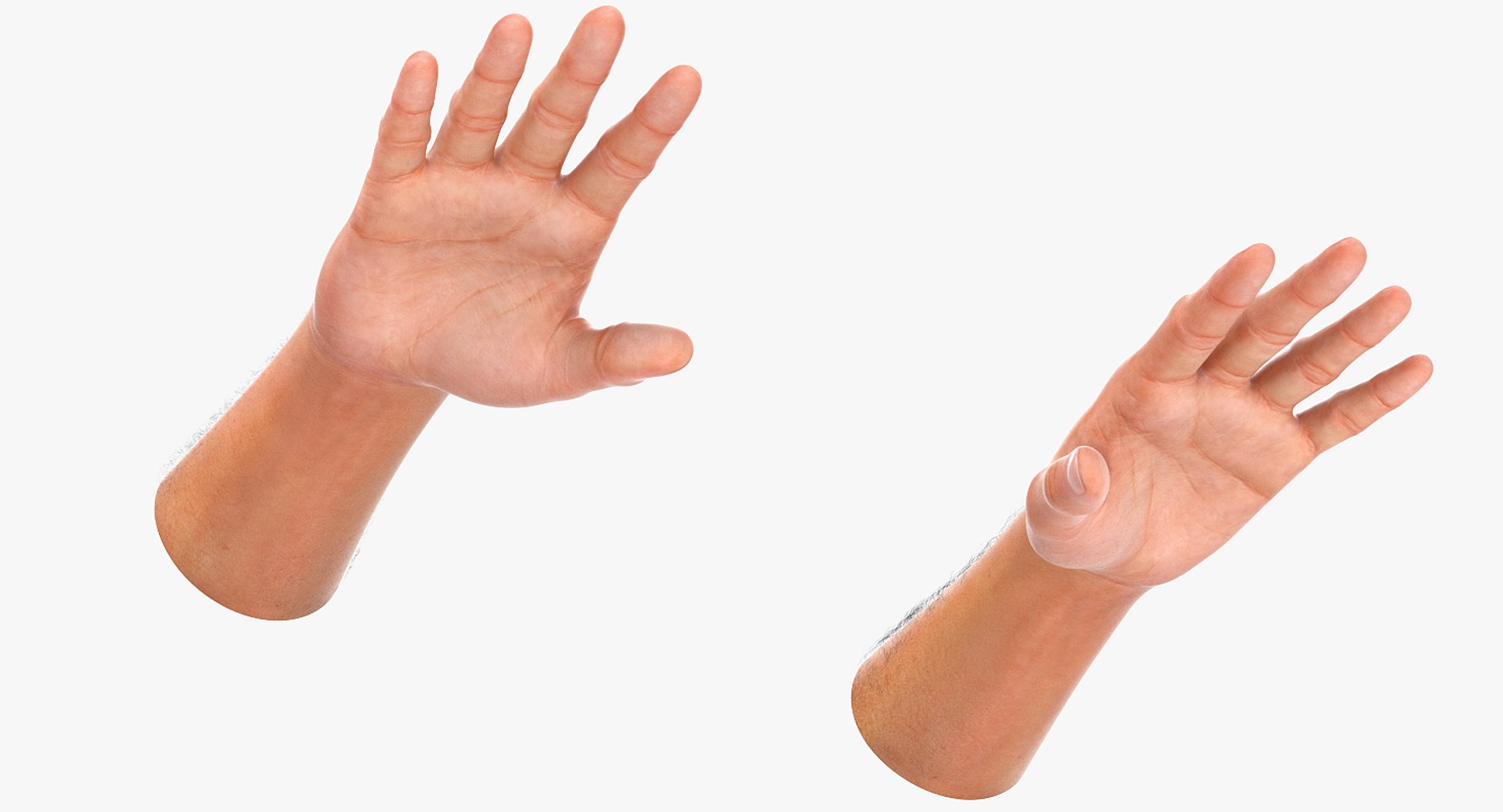 3D model hands rig - TurboSquid 1276528