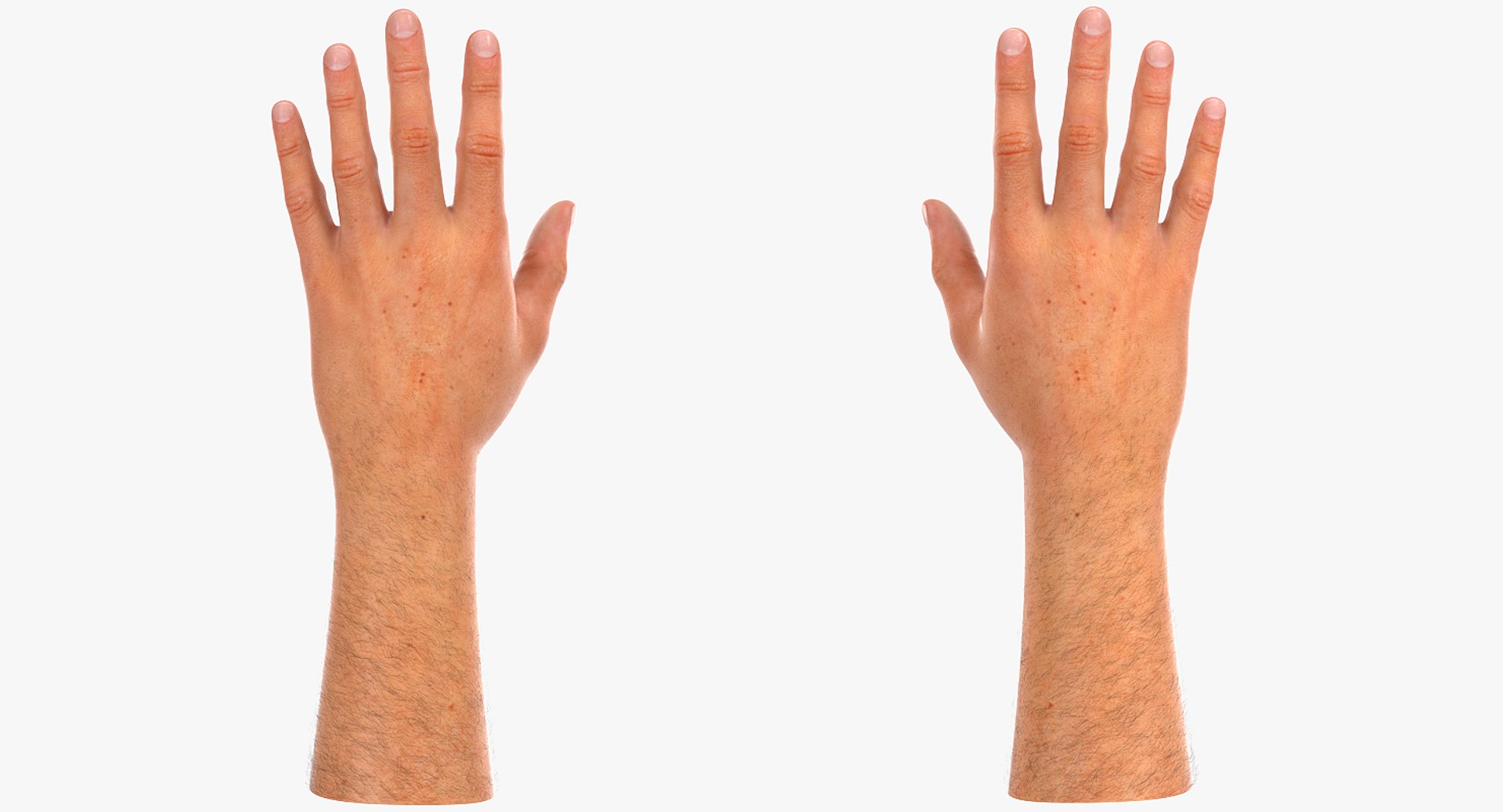 3D model hands rig - TurboSquid 1276528