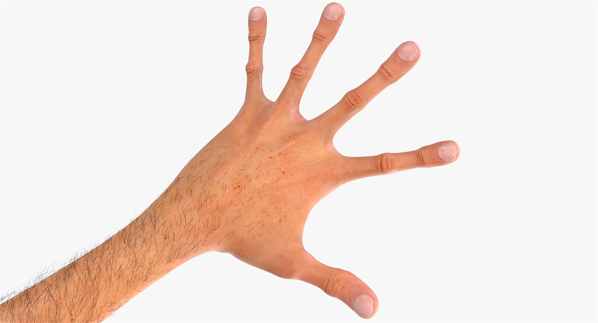 3D model hands rig - TurboSquid 1276528