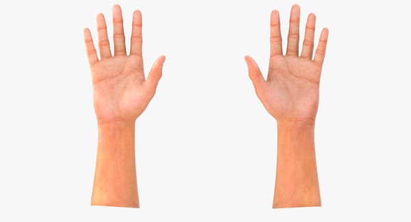 3D model hands rig - TurboSquid 1276528