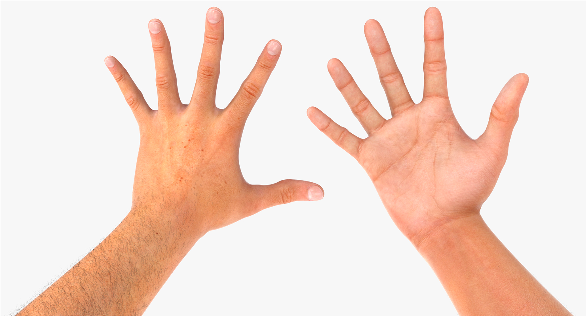 3D model hands rig - TurboSquid 1276528