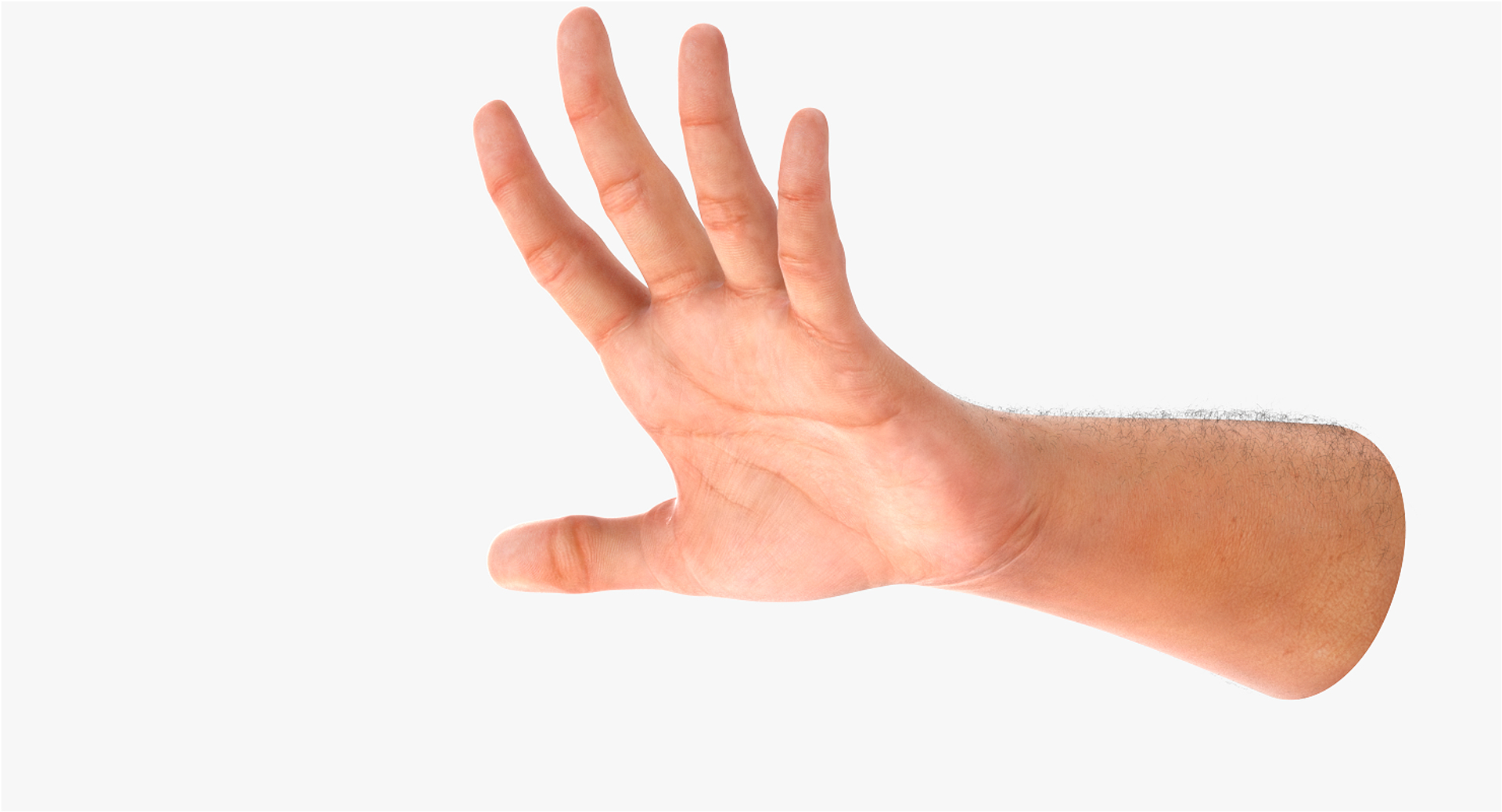 3D model hands rig - TurboSquid 1276528