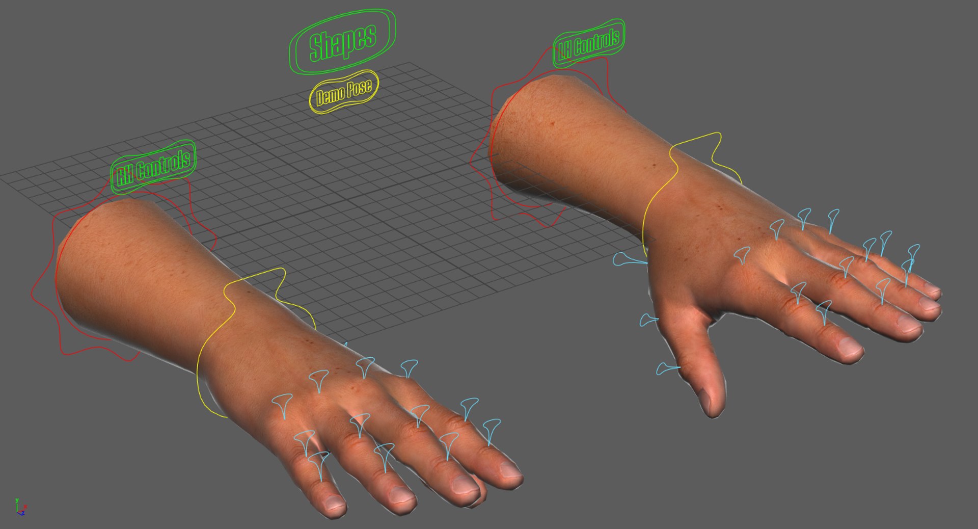 3D model hands rig - TurboSquid 1276528