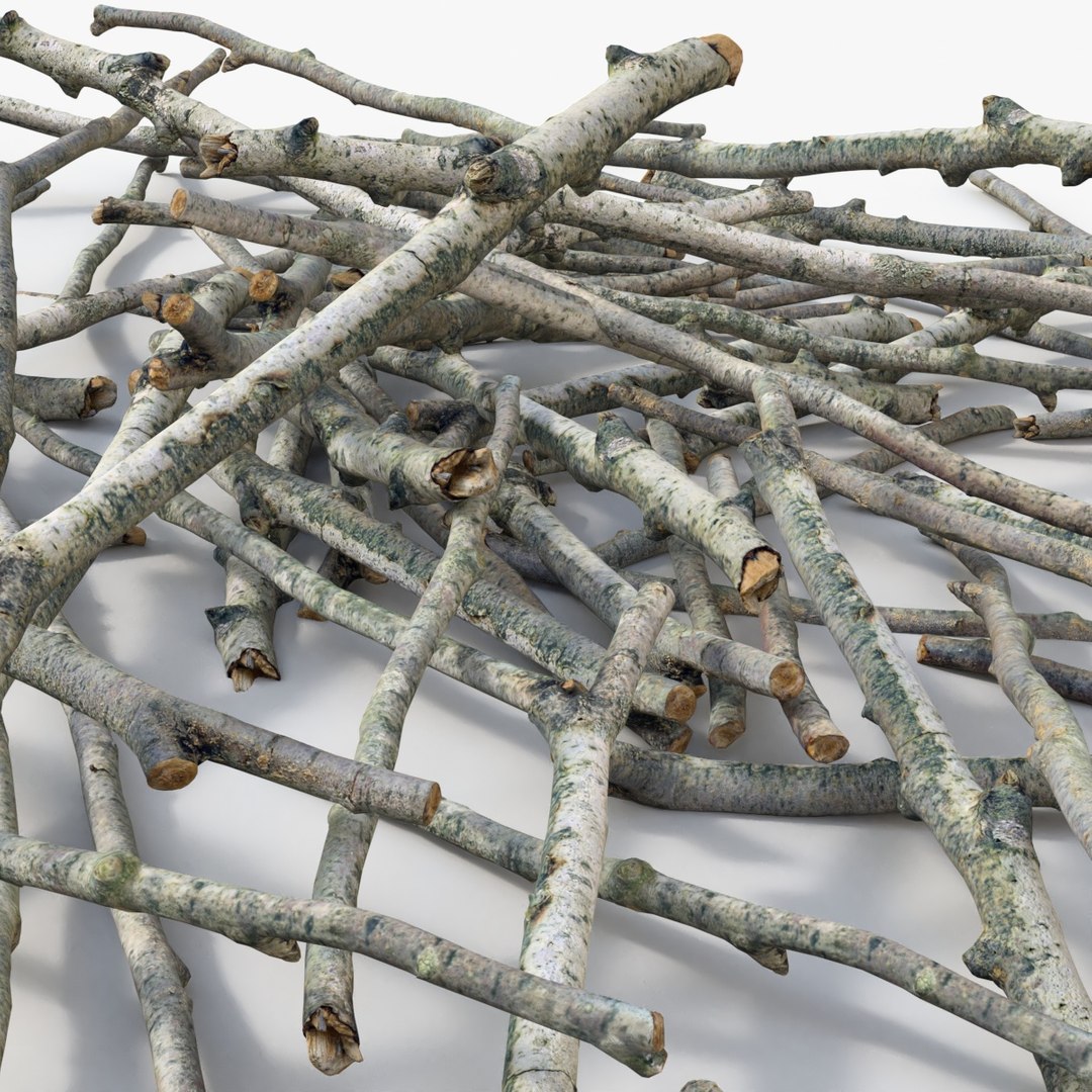 3D Realistic Branch 02 Model - TurboSquid 1218228