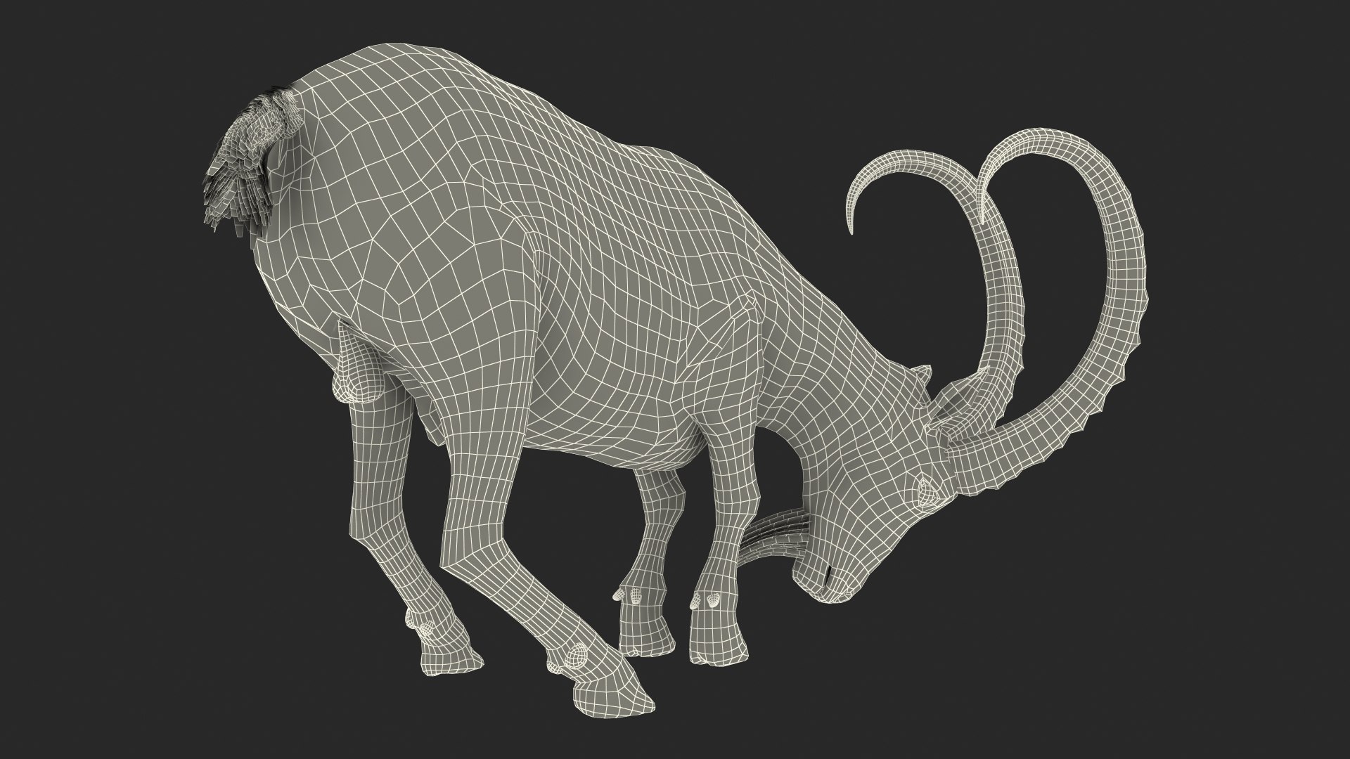 3D Alpine Ibex With Large Horns Fur - TurboSquid 2219815