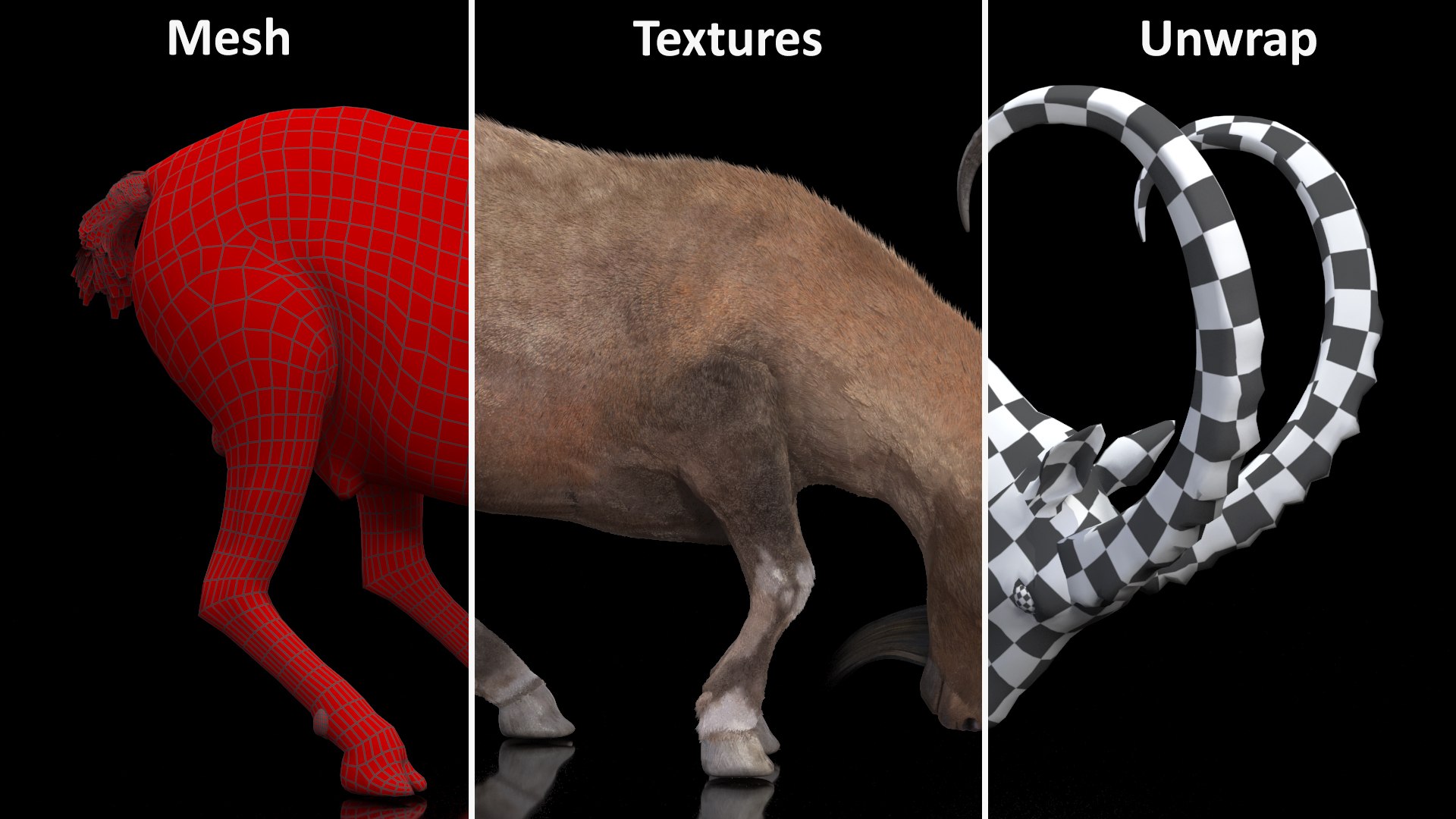 3D Alpine Ibex With Large Horns Fur - TurboSquid 2219815