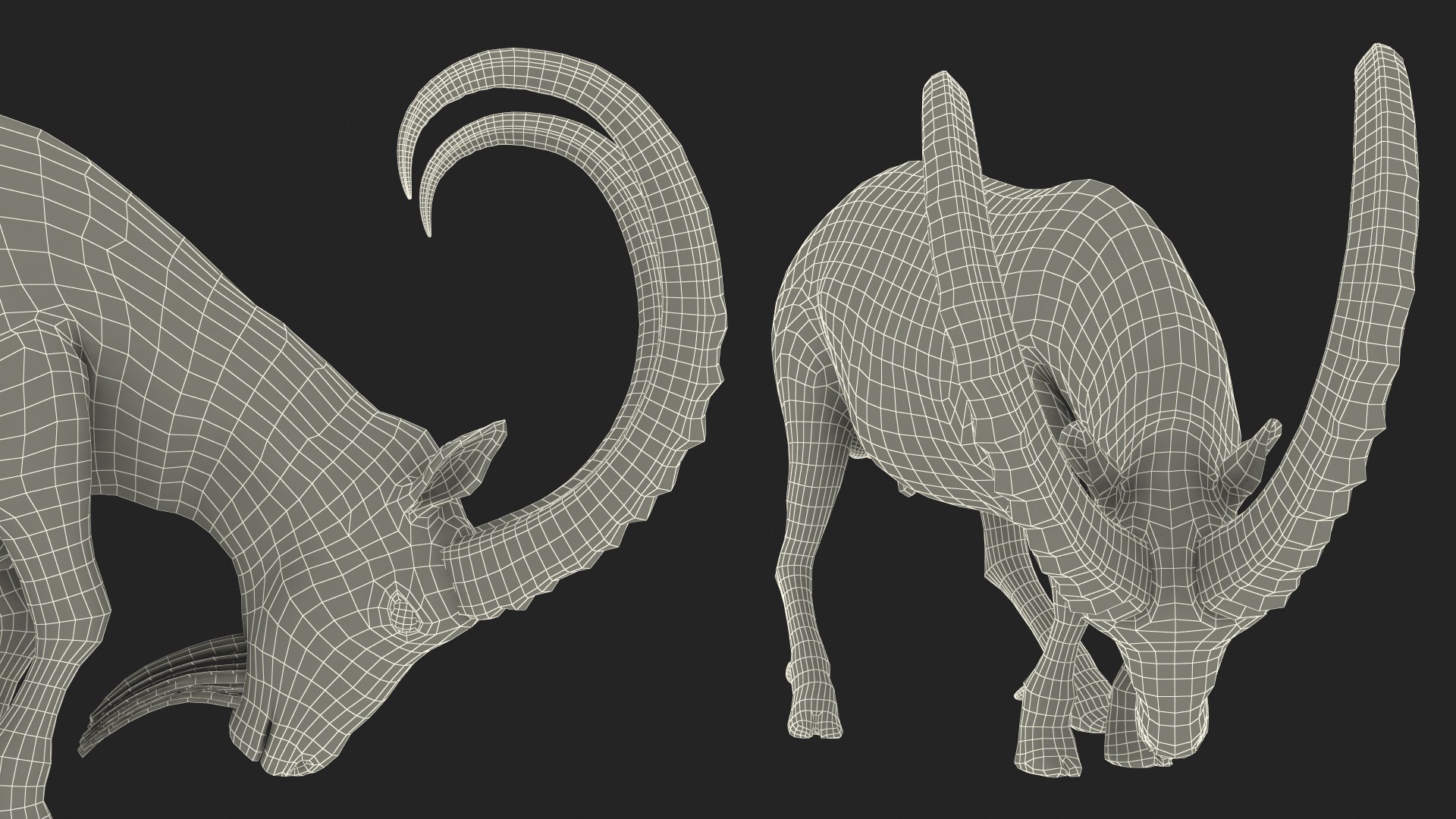 3D Alpine Ibex With Large Horns Fur - TurboSquid 2219815