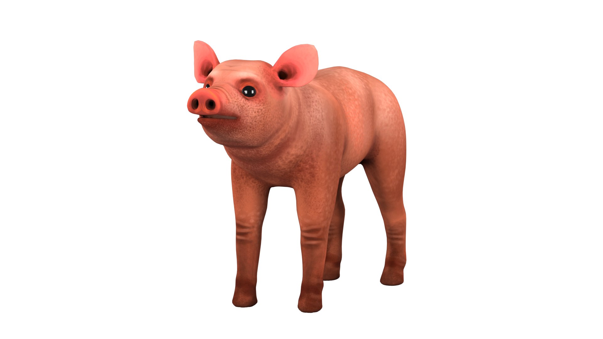 3D Pig Bull Rig High-poly Textured Model - TurboSquid 2345743