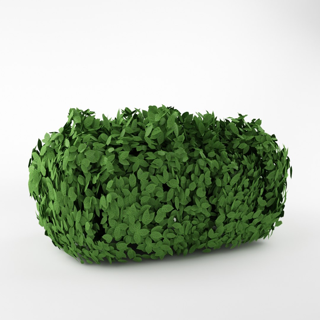 3d Max Bush