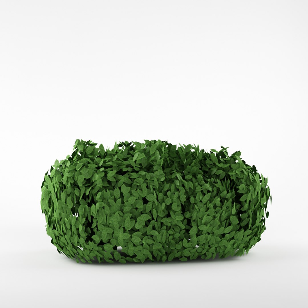3d Max Bush