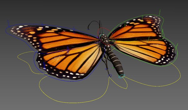 modelo 3d Texturas PBR 8K montadas con mariposa monarca - TurboSquid ...