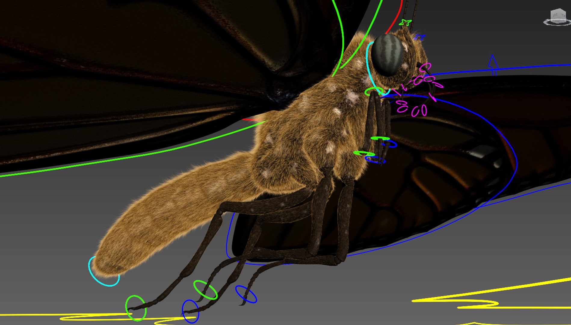 3D Monarch Butterfly Rigged 8K PBR Textures - TurboSquid 2122892