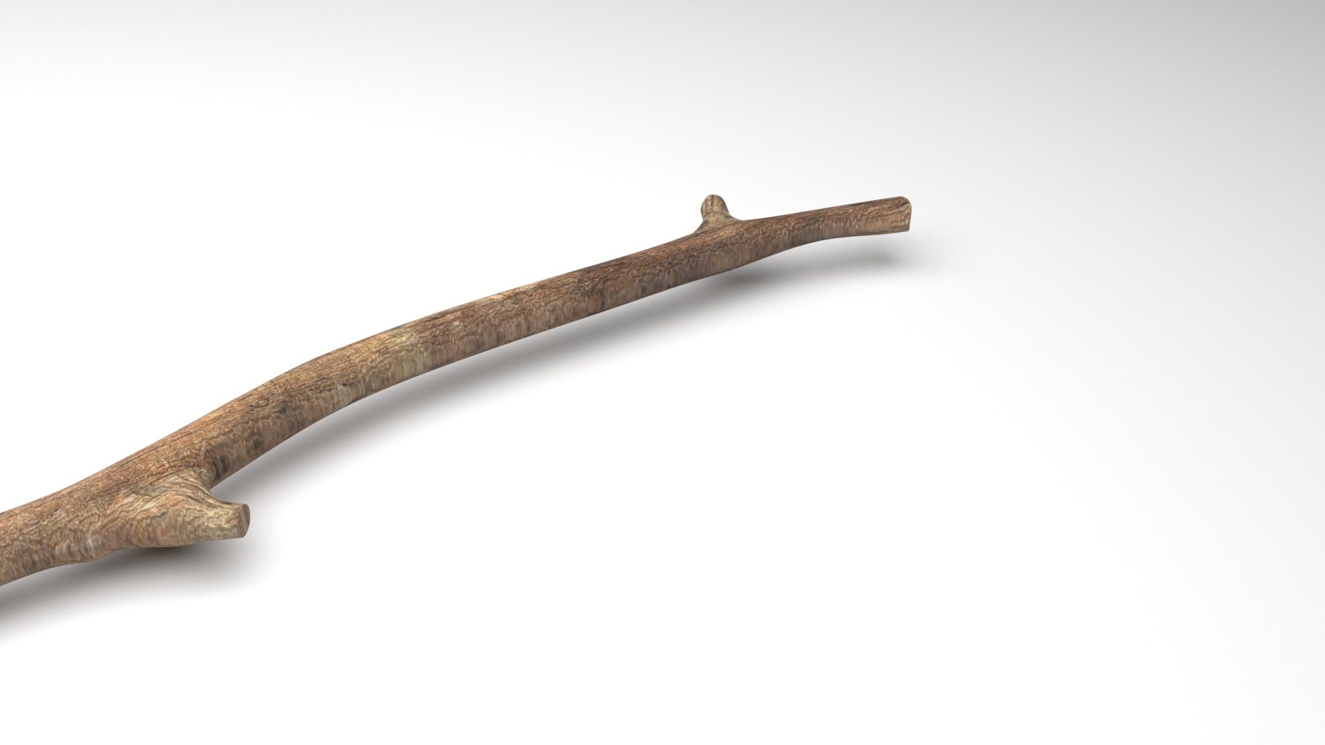Tree Branch 3D model - TurboSquid 1867620