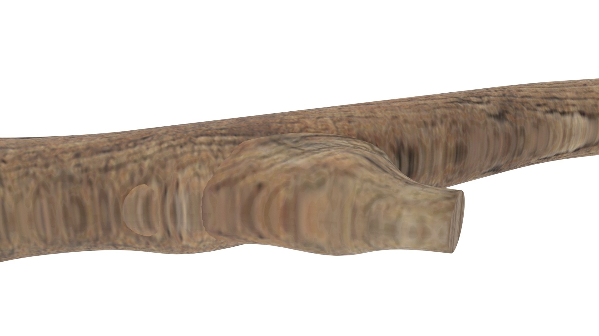 Tree Branch 3D model - TurboSquid 1867620