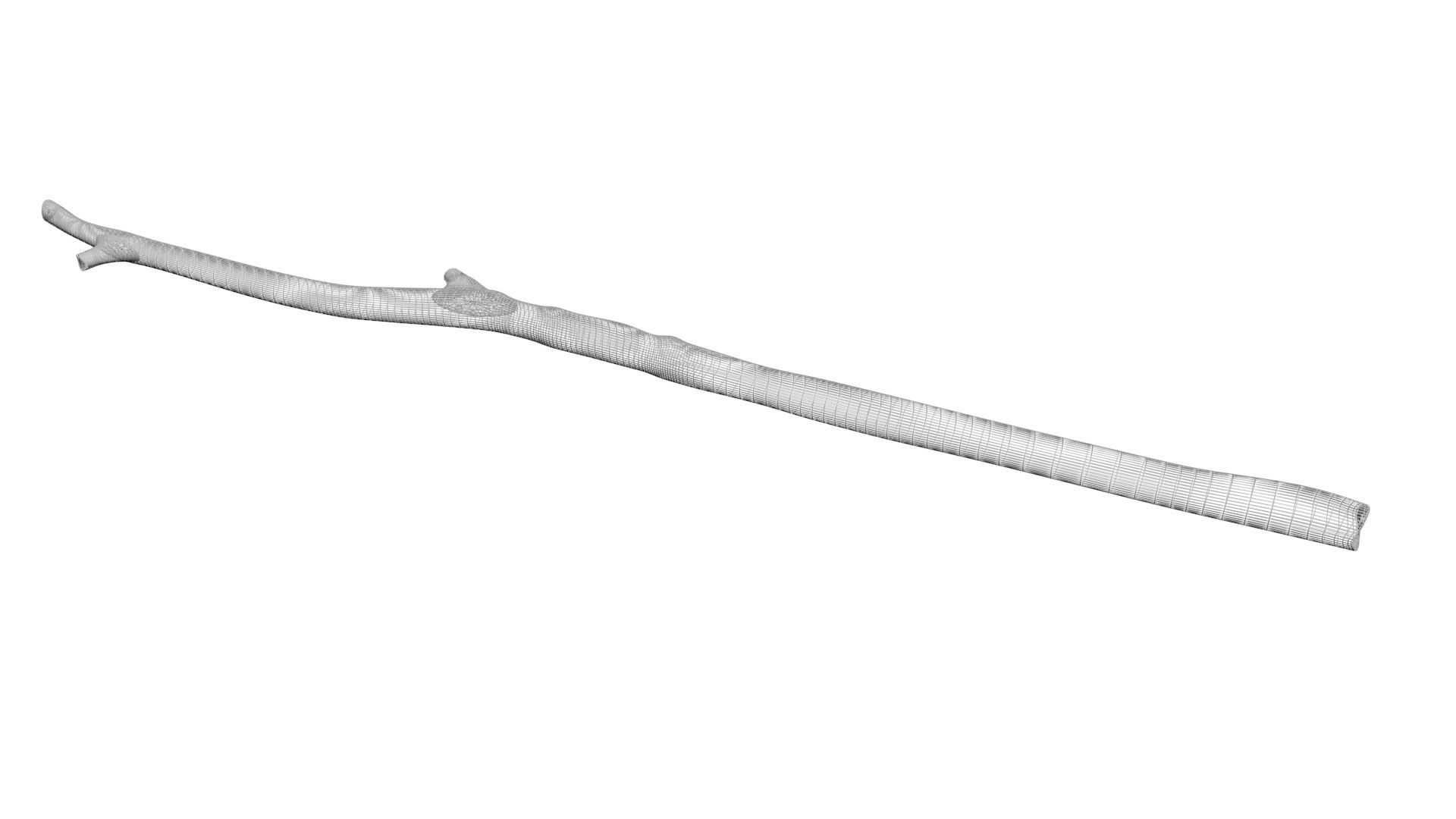 Tree Branch 3D model - TurboSquid 1867620