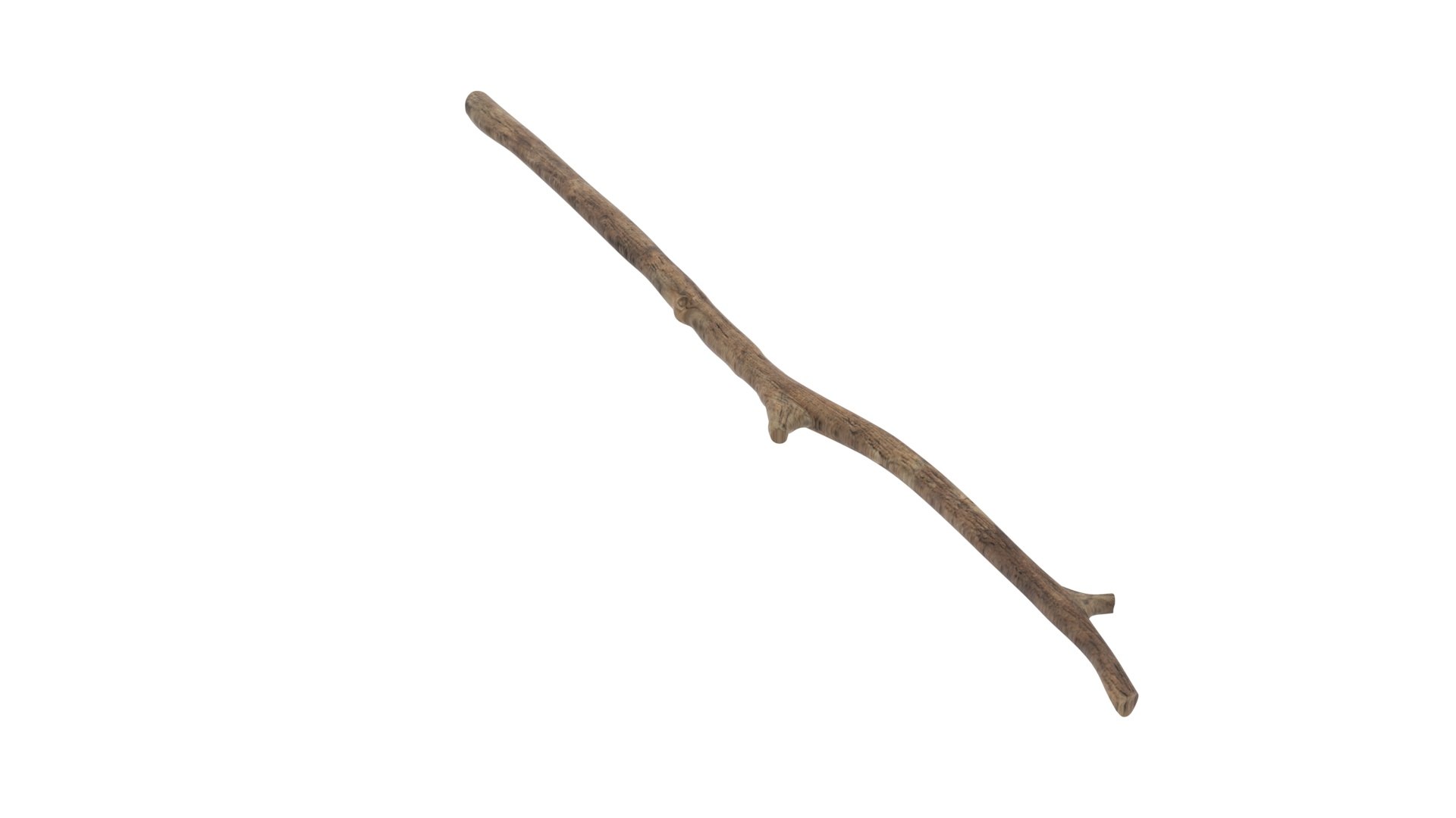 Tree Branch 3D model - TurboSquid 1867620