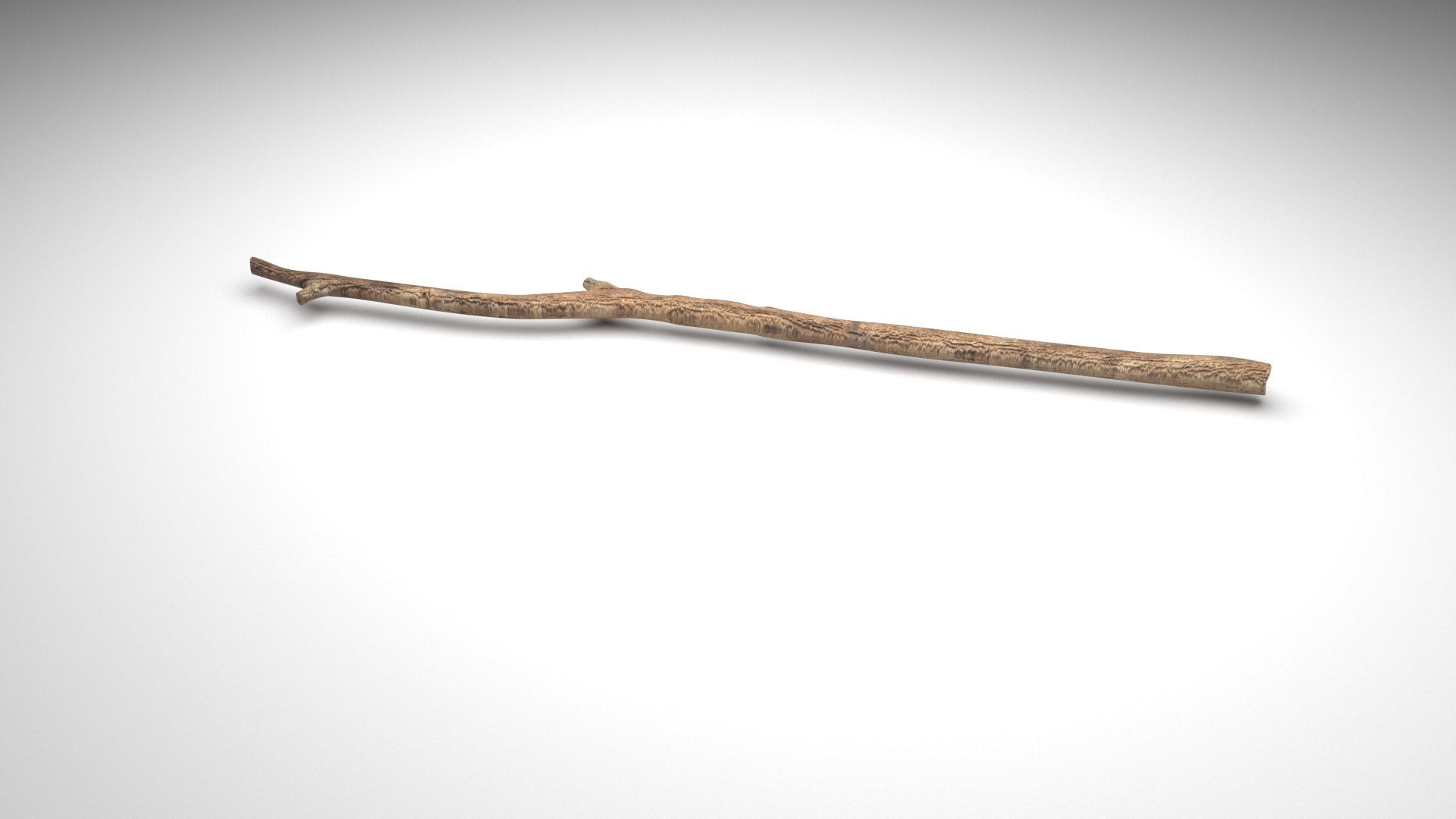 Tree Branch 3D model - TurboSquid 1867620