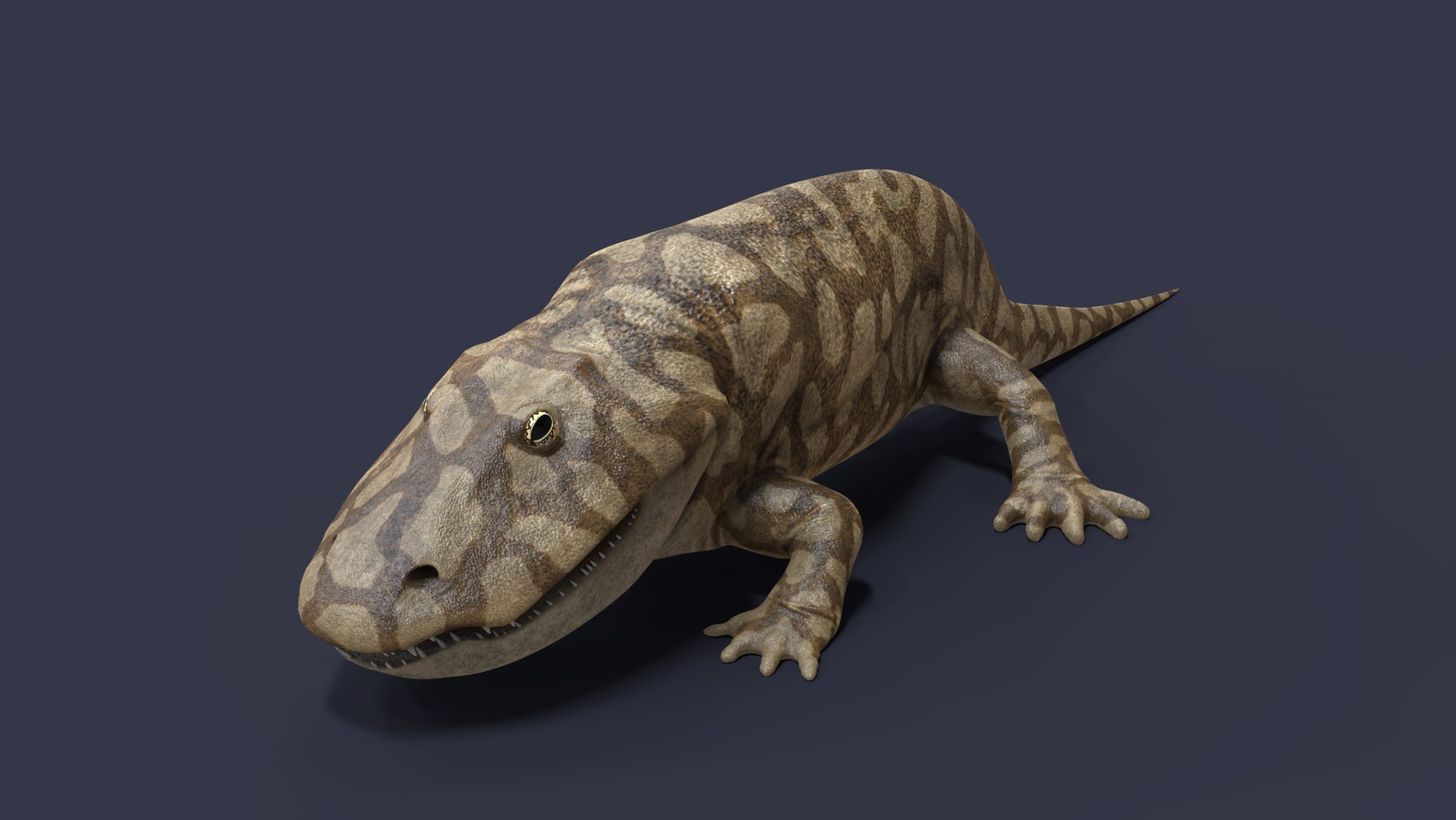 Eryops Megacephalus 3D Model - TurboSquid 2469668