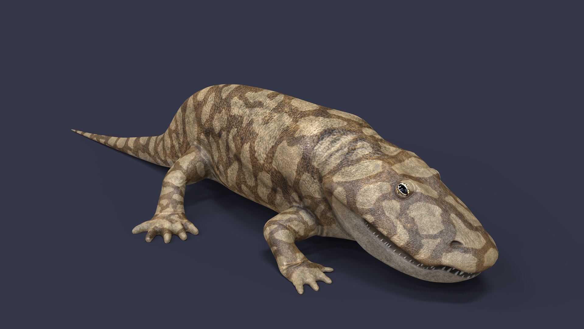 Eryops Megacephalus 3D Model - TurboSquid 2469668