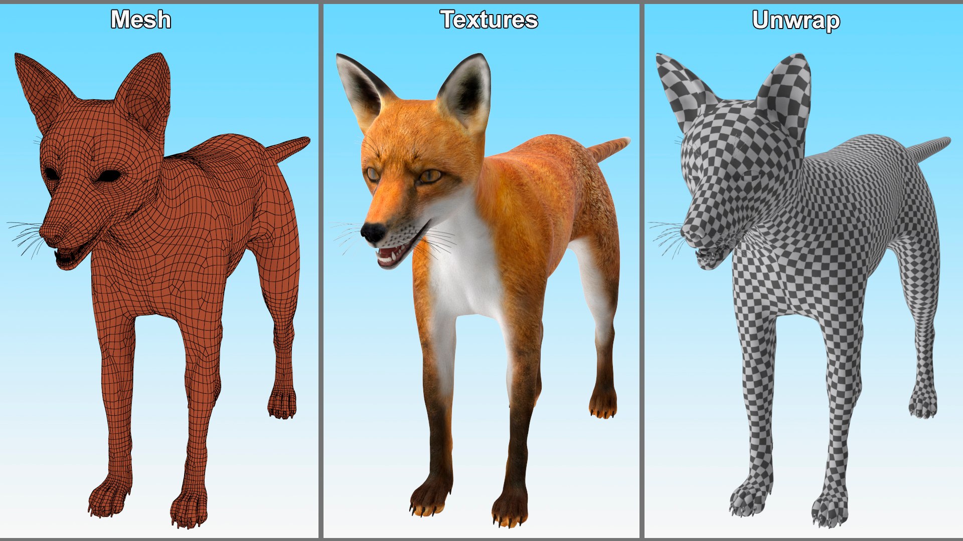 3D Wild European Fox Rigged Model - TurboSquid 2186769