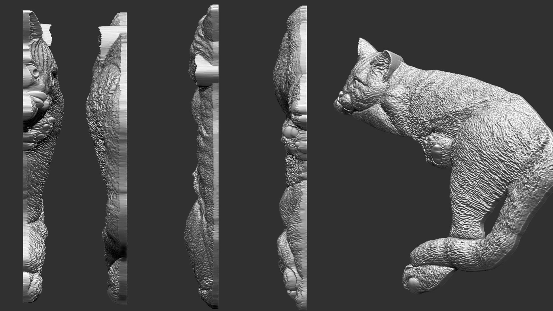 Lazy Cat Bas-Relief 3D - TurboSquid 2092587