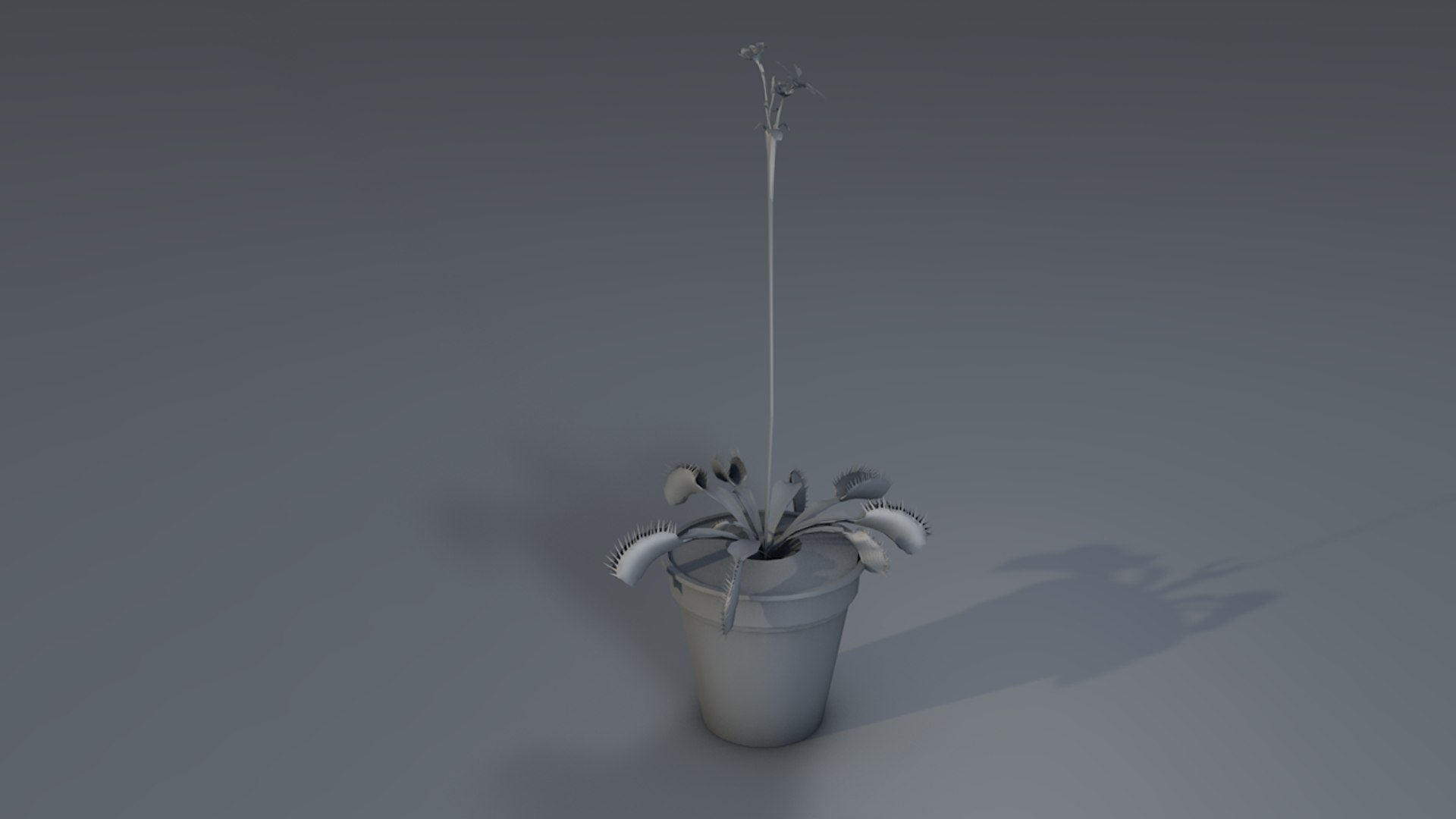 Drosera Carnivorous Plant 3D Model - TurboSquid 1374931