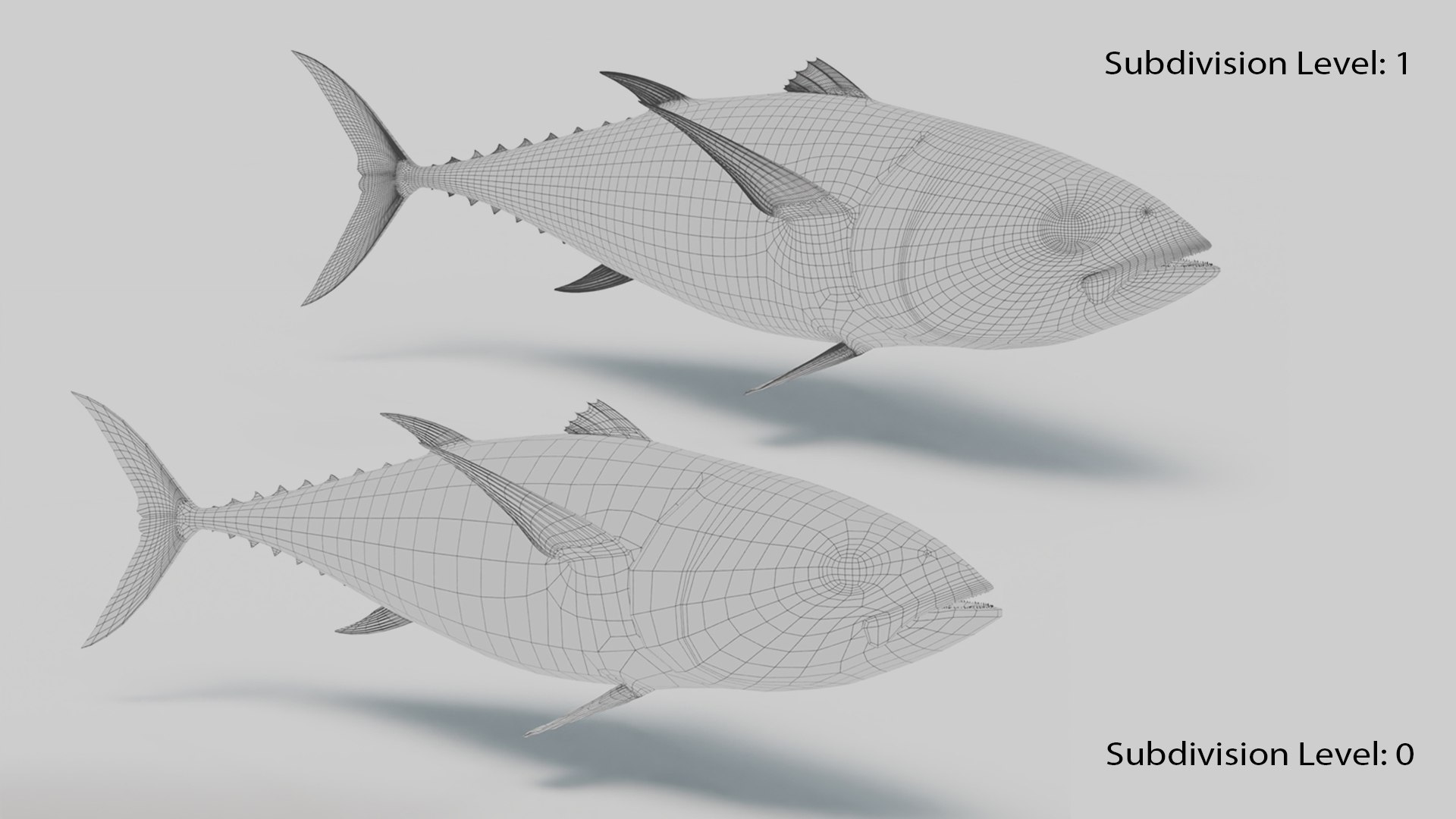 3D Model Tuna Fish Animated - TurboSquid 2350887