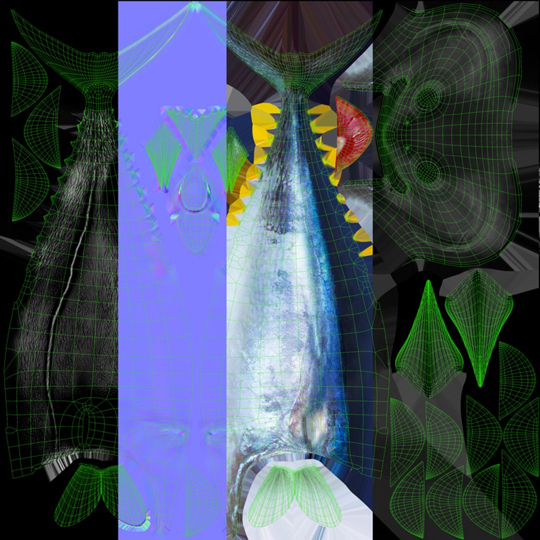 3D Model Tuna Fish Animated - TurboSquid 2350887