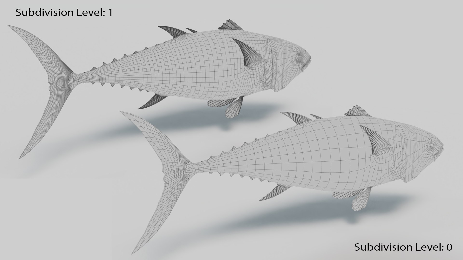 3D Model Tuna Fish Animated - TurboSquid 2350887