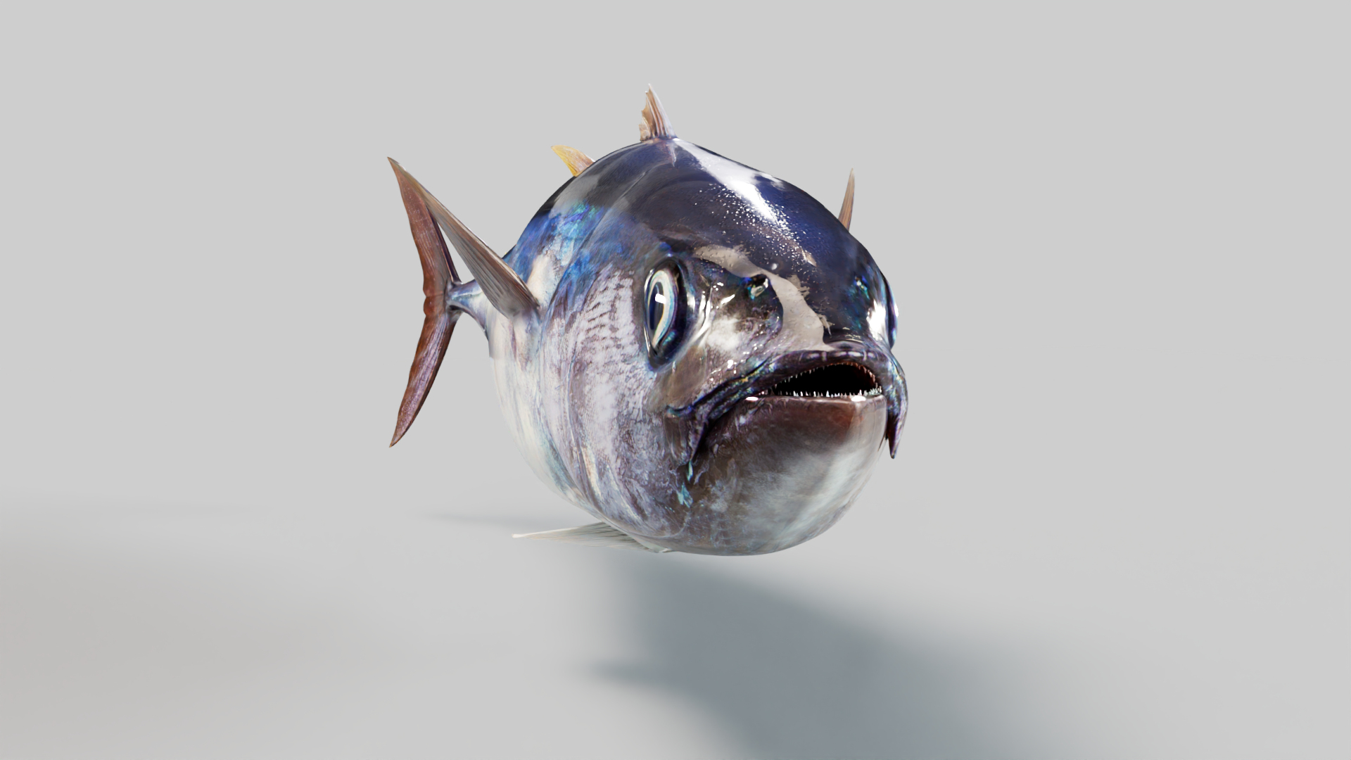 3D Model Tuna Fish Animated - TurboSquid 2350887