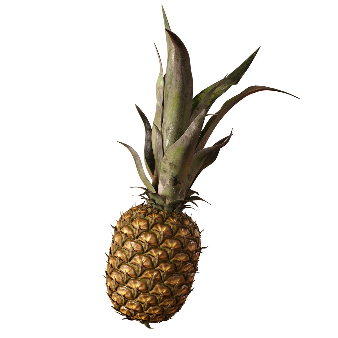 Realistic Pineapple 3D Model - TurboSquid 1154759
