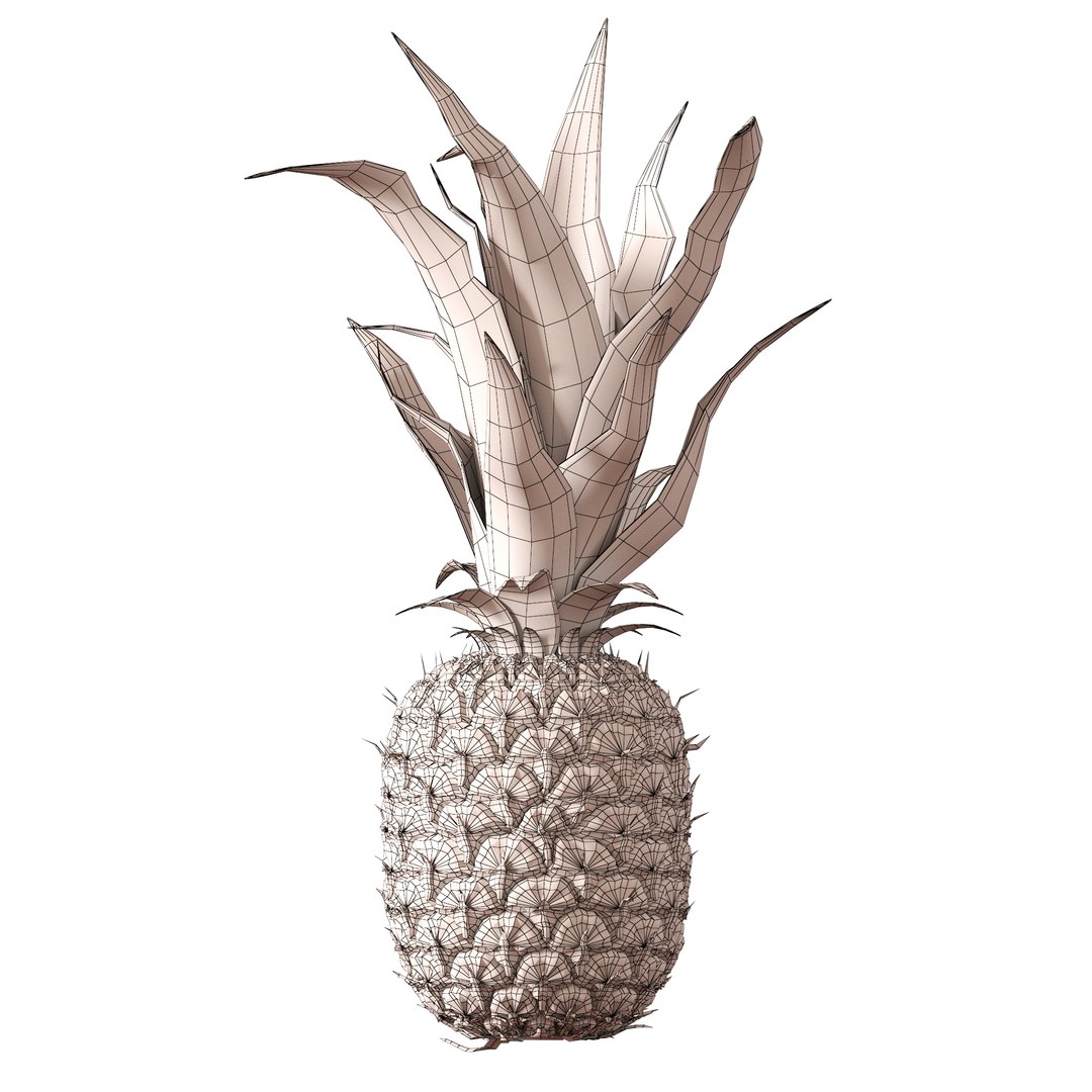 Realistic Pineapple 3D Model - TurboSquid 1154759