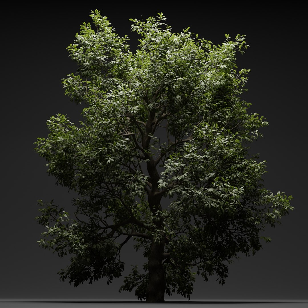 Tree For Landscape Vol 229-Blender-3dmodel 3D - TurboSquid 2212039