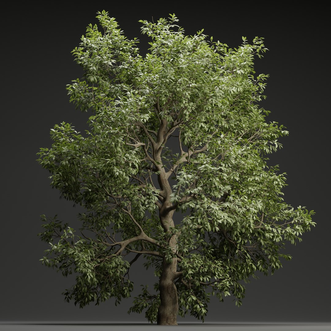 Tree For Landscape Vol 229-Blender-3dmodel 3D - TurboSquid 2212039