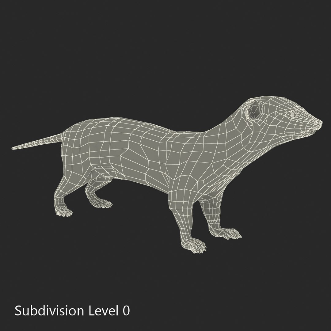 3d Model Weasel Fur