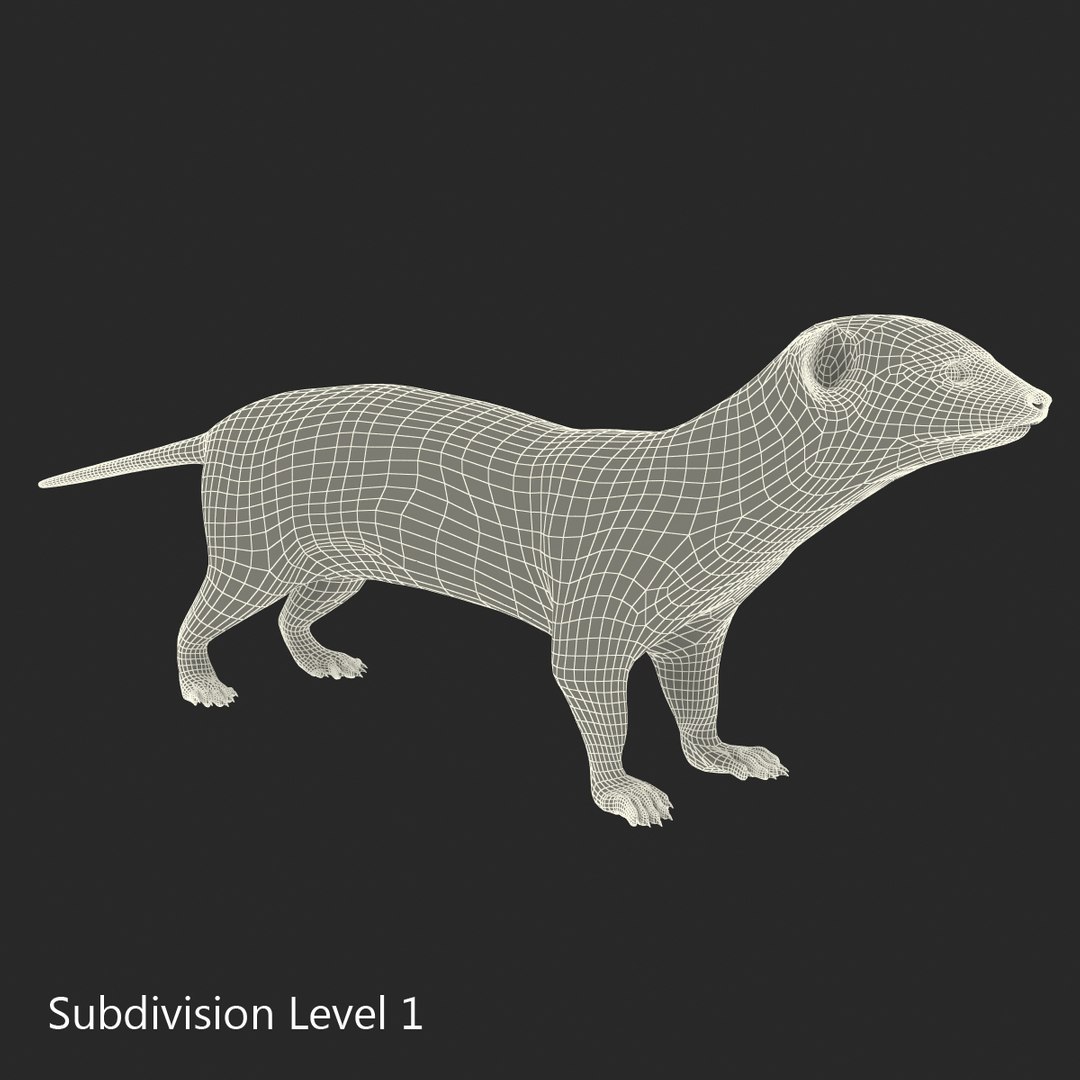 3d Model Weasel Fur