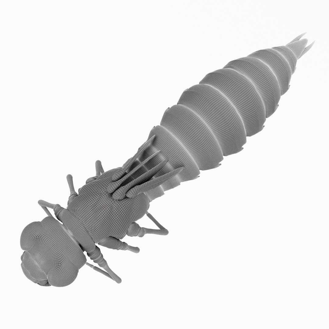 3D Molt Anax Imperator Rigged - TurboSquid 2074549