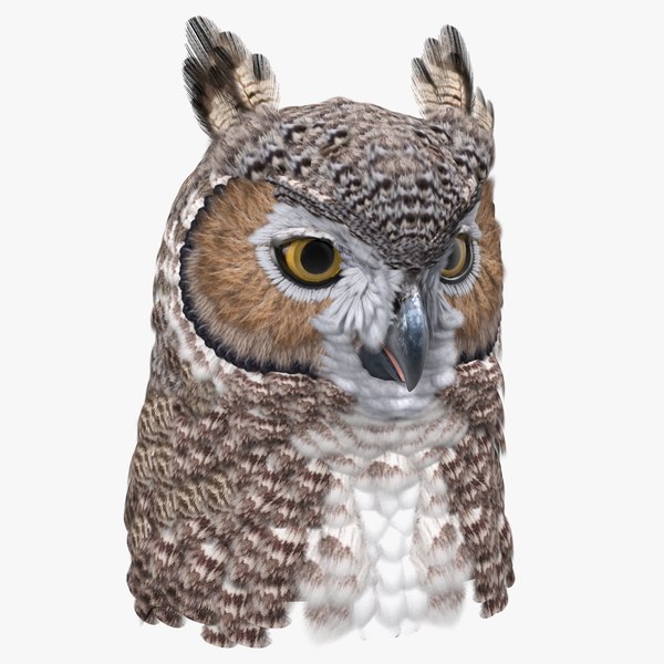 Great horned owl rigged 3D model - TurboSquid 1533728